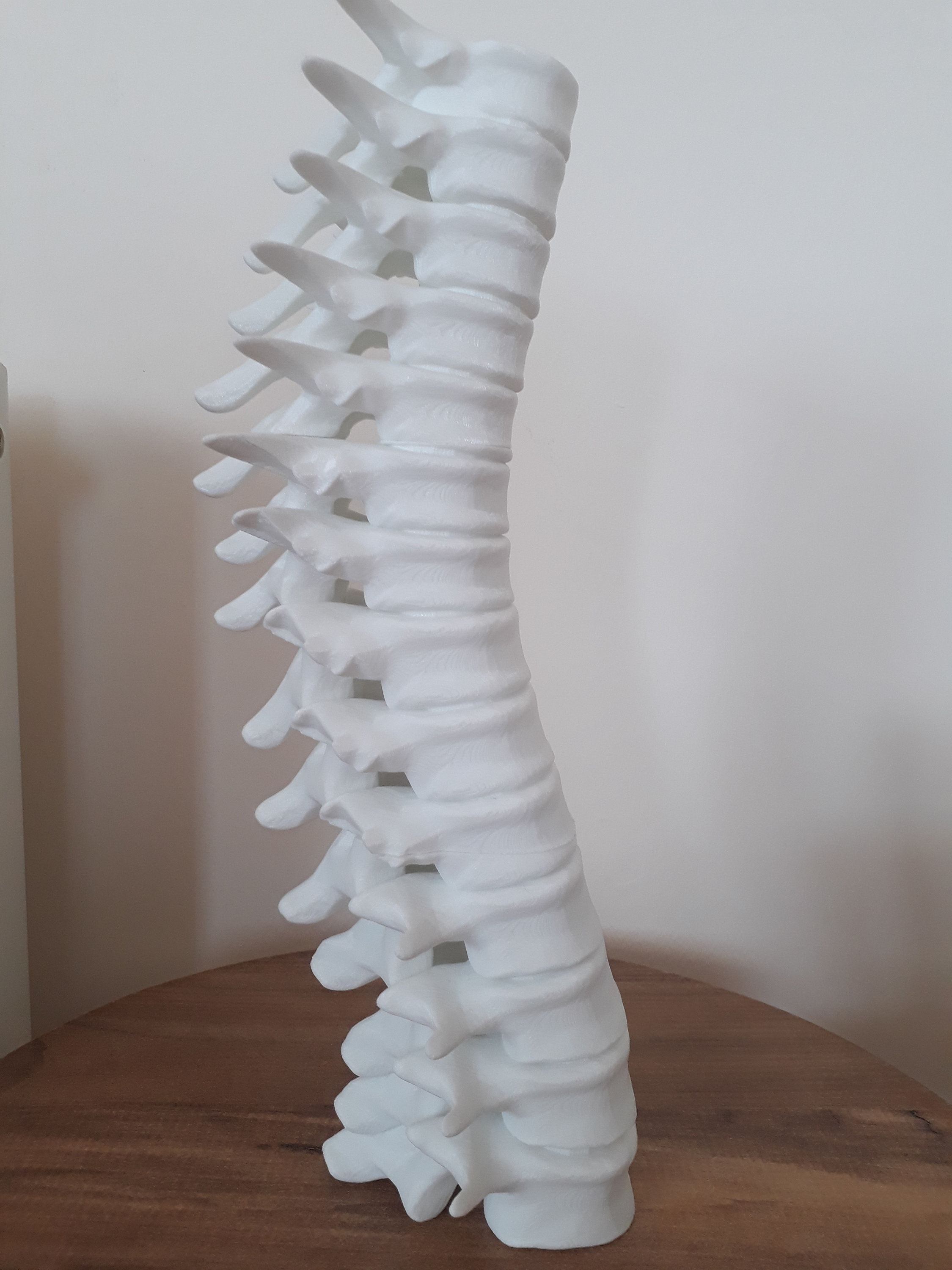 Spine Candle Holder - Etsy