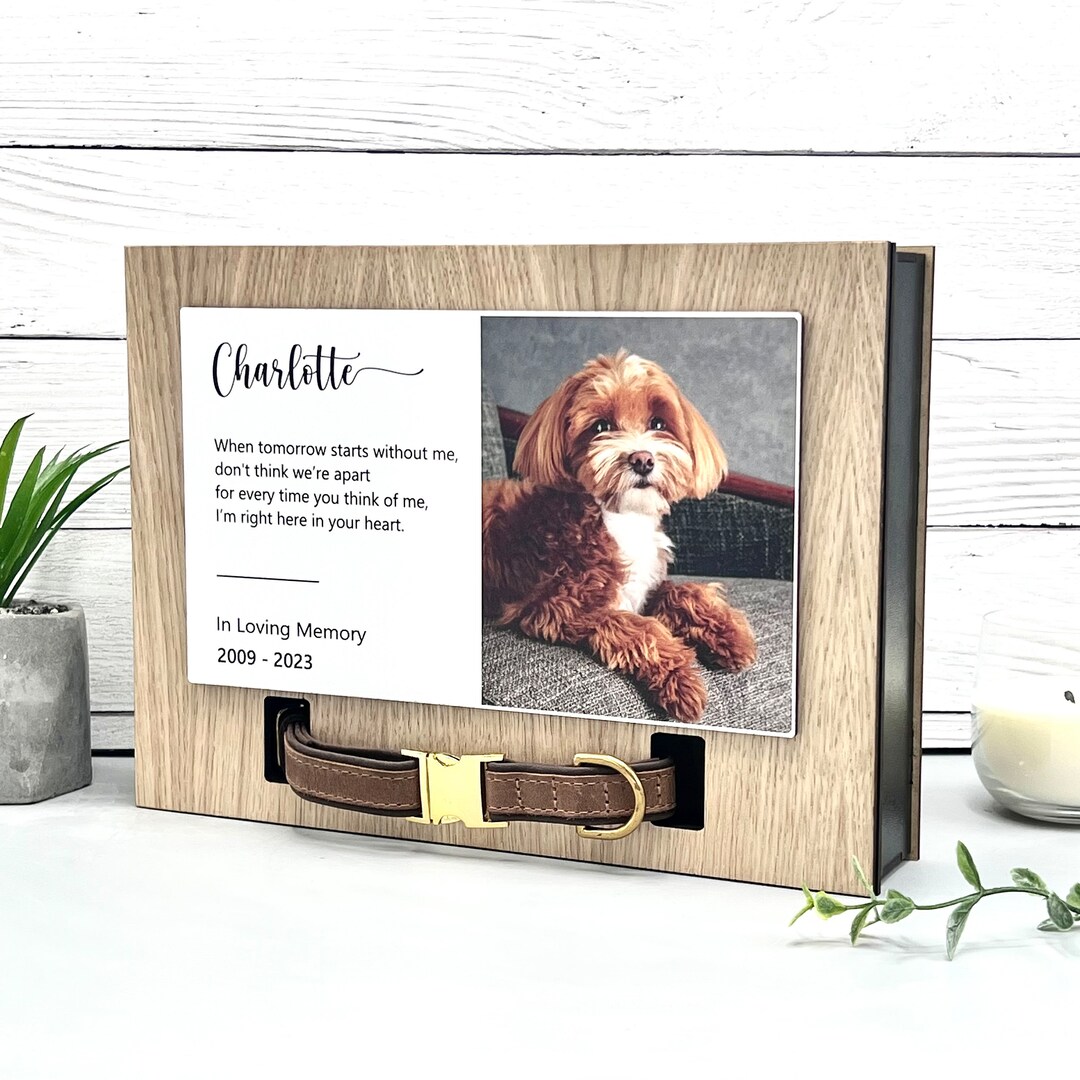 Custom Modern Pet Ashes Cremation Urn, Rustic Modern Design Pet Ashes ...