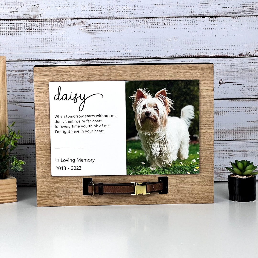 Pet Ashes & Keepsake Frame, Holds a Collar and Ashes, Pet Memorial ...