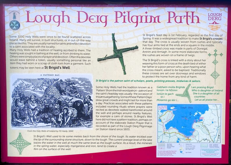 50 Fresh Irish Rushes - Reeds for St Saint Brigid's Bridget Cross From ...