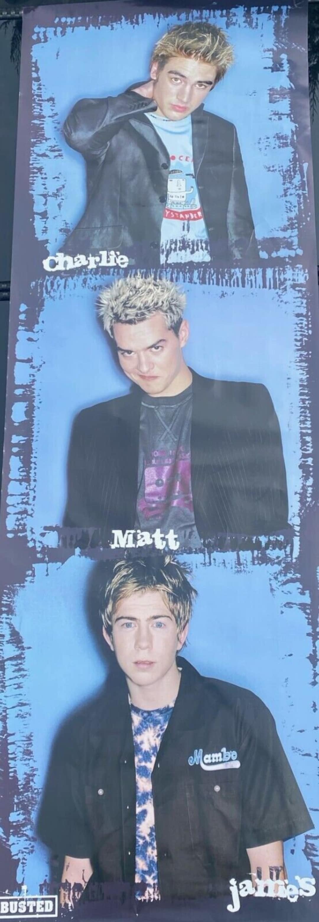 2003 Busted Band Large Door Size Poster 53cm X 157 Cm Officially ...