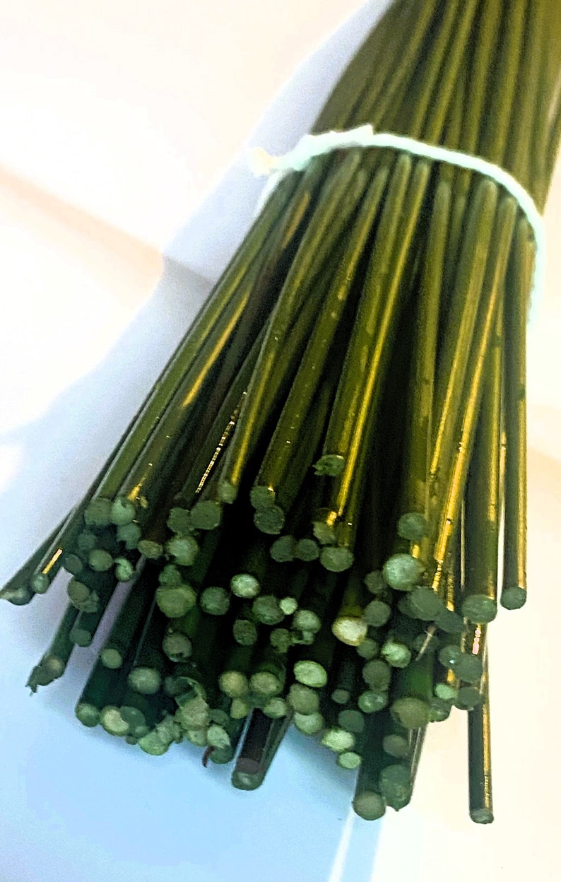 50 Fresh Irish Rushes - Reeds for St Saint Brigid's Bridget Cross From ...