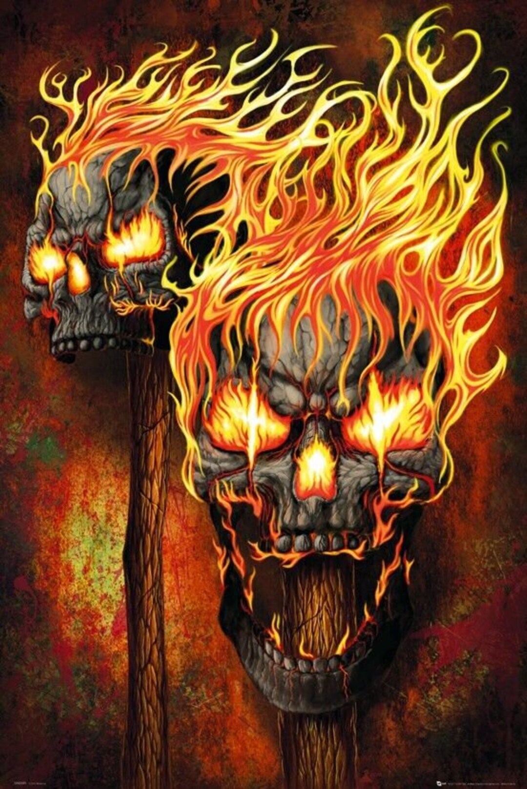 2010 Goth Flaming Skulls GB Eye Metal Licensed Maxi Poster 61x91.5cm ...
