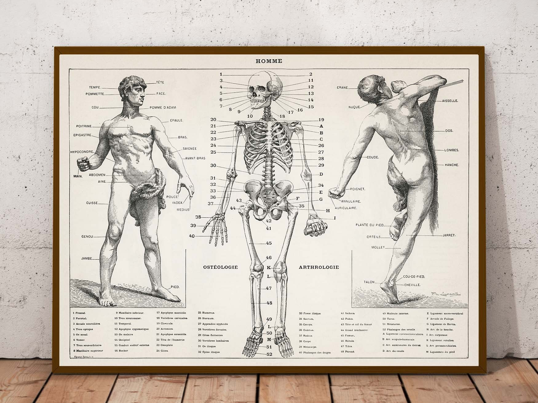 Human Body - Original Poster (description in French) - Etsy