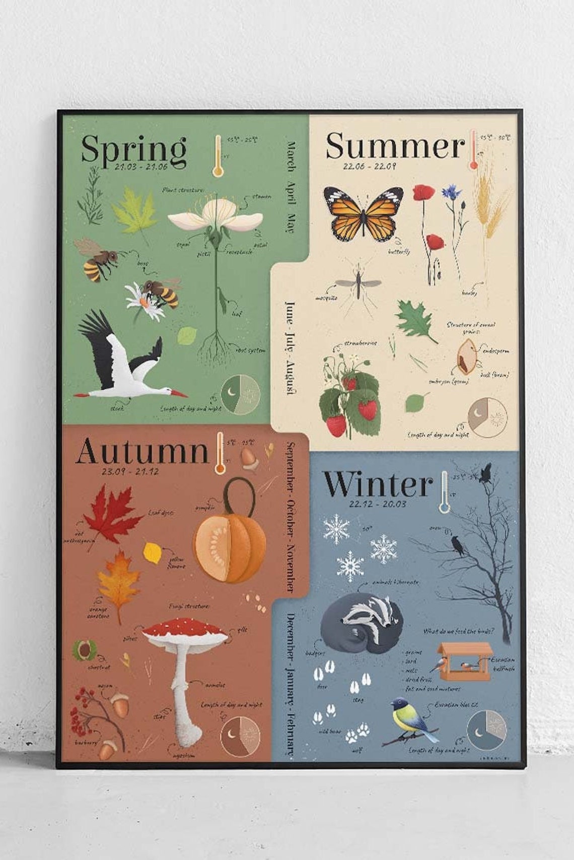 Four Seasons Poster - UK Version, Educational Poster for Children, Kids ...