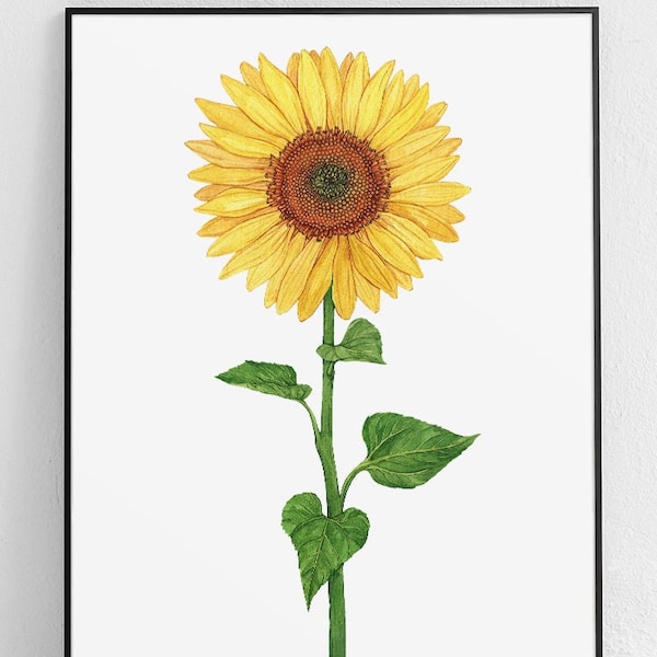 Sunflower Poster - Etsy