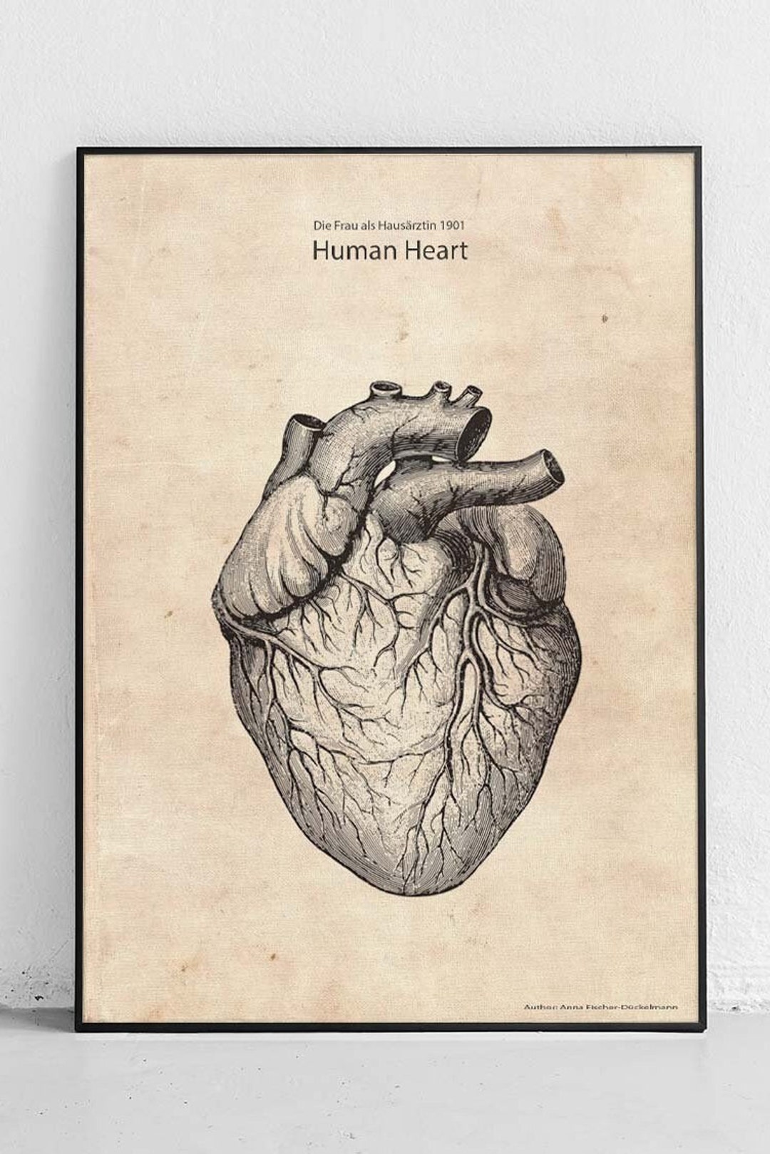 Human Heart - Original Poster - Etsy