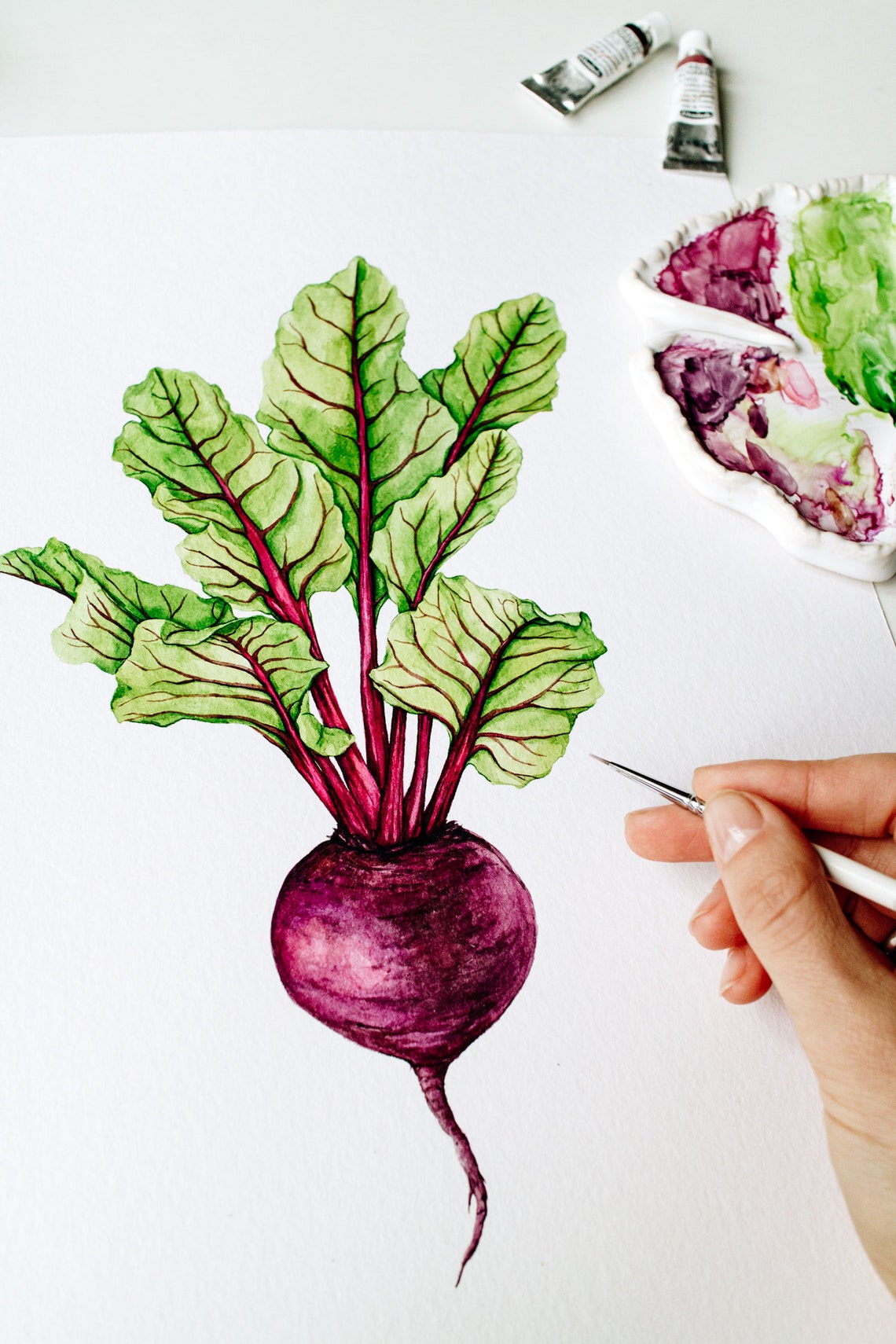 Beetroot Hand Painted Poster, Botanical Poster, Plant Poster - Etsy