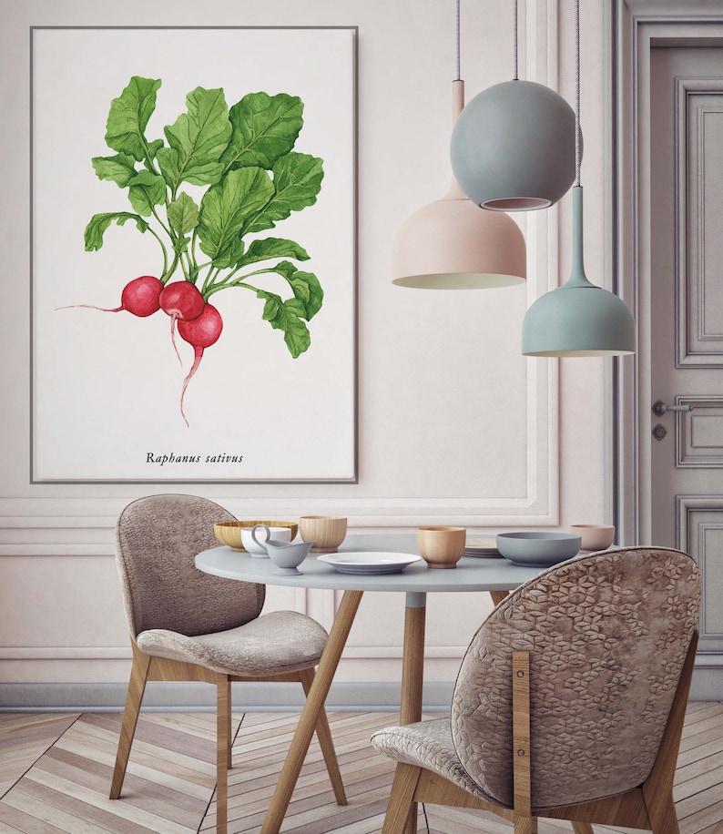 Radish Hand Painted Poster, Botanical Poster, Plant Poster - Etsy