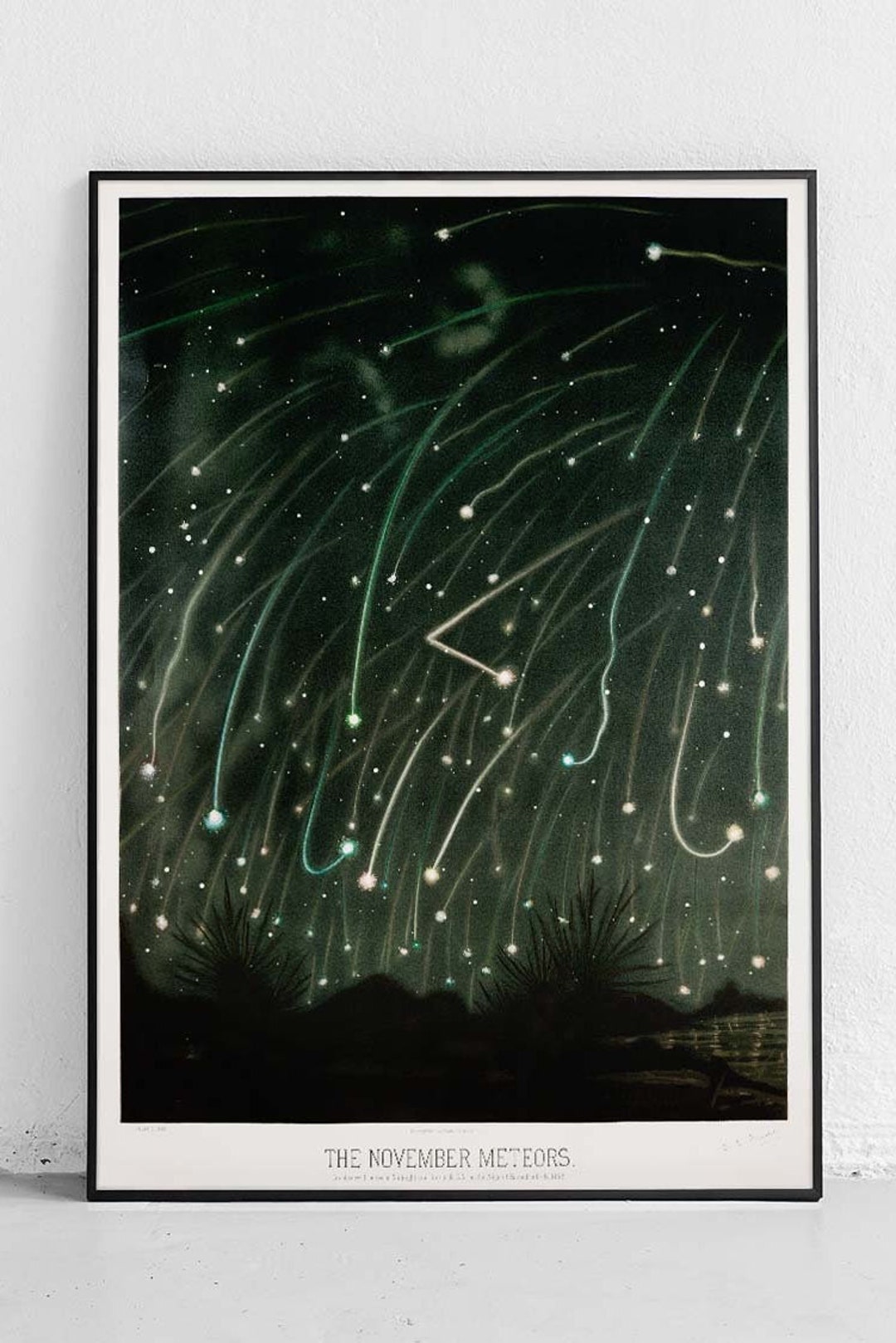 The November Meteors Astronomy Poster Original Poster - Etsy