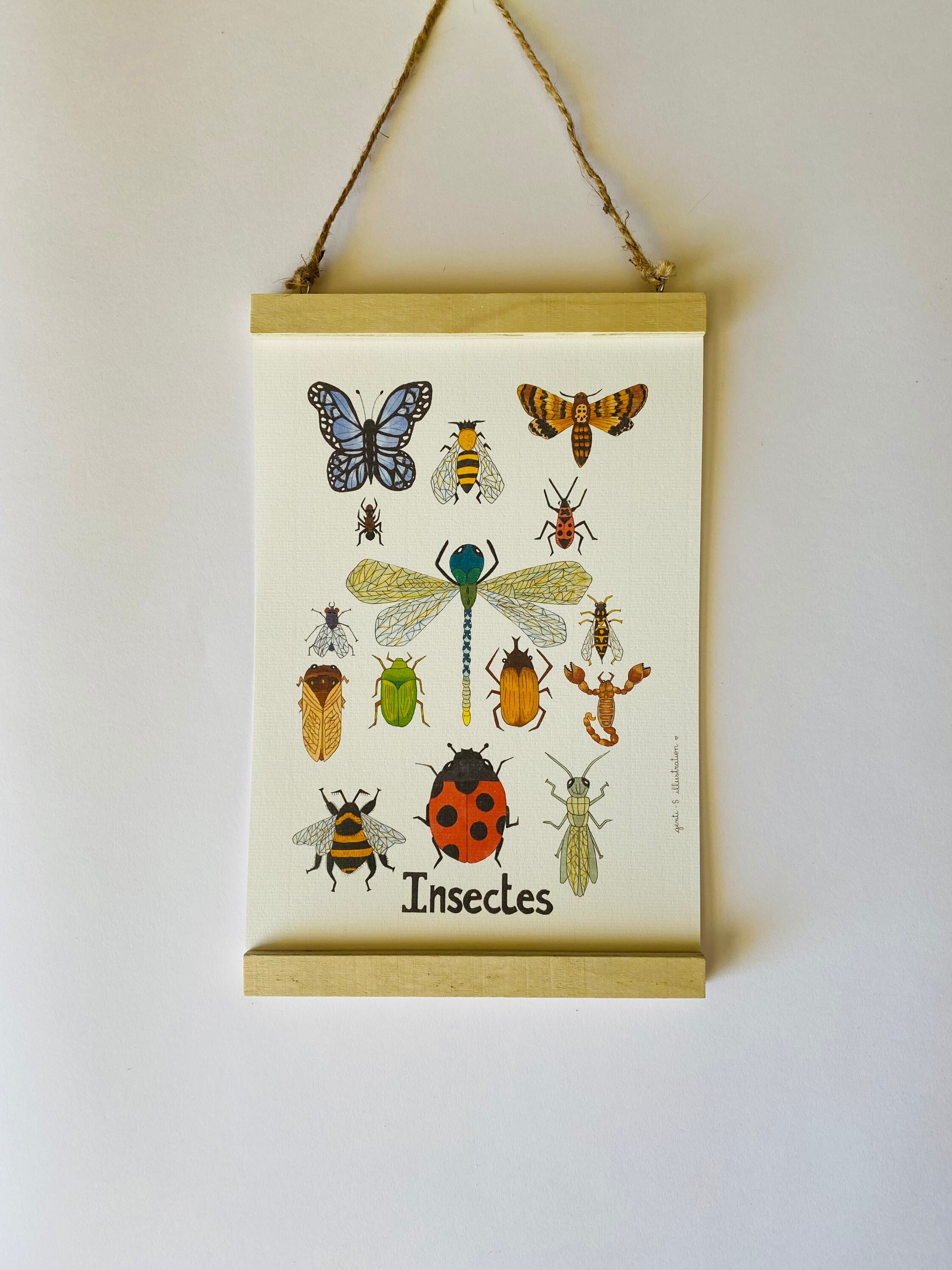 Insects Poster - Etsy