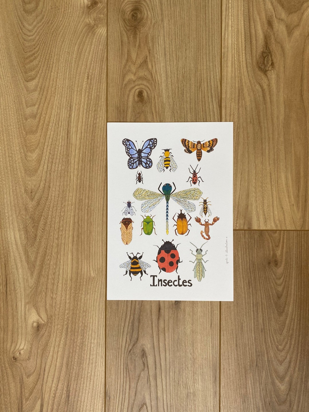 Insects Poster - Etsy