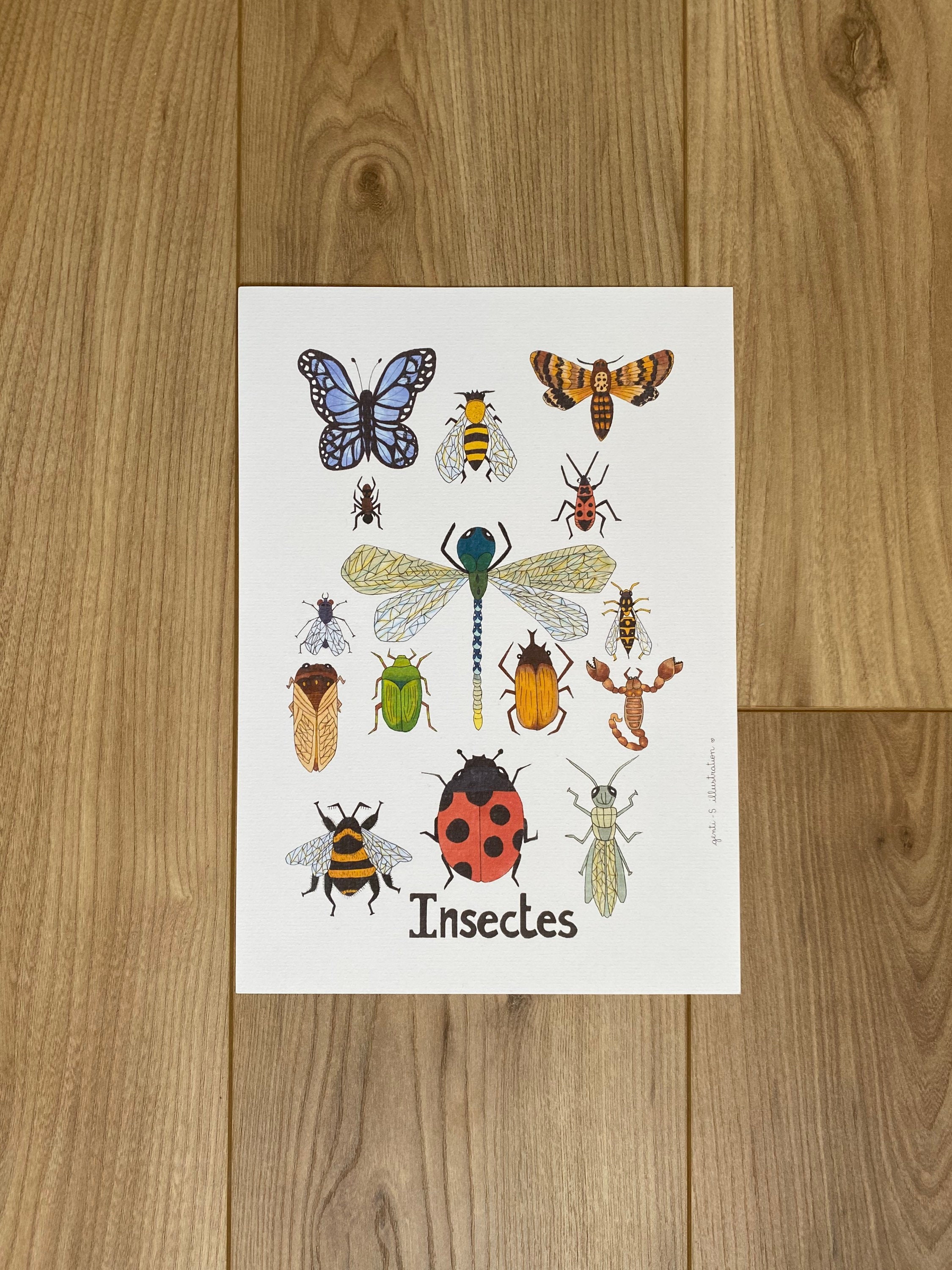Insects Poster - Etsy