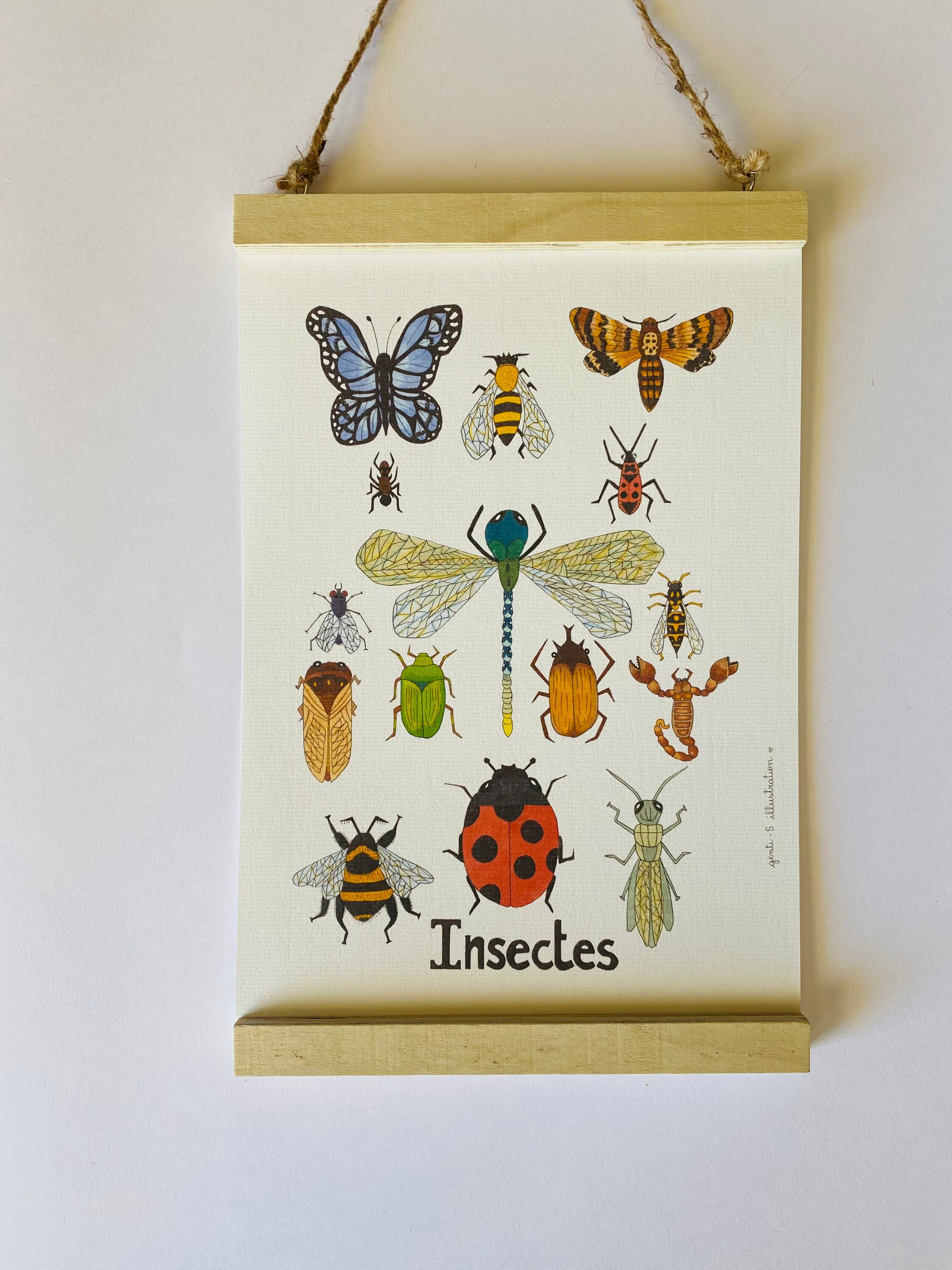 Affiche Insectes - Etsy