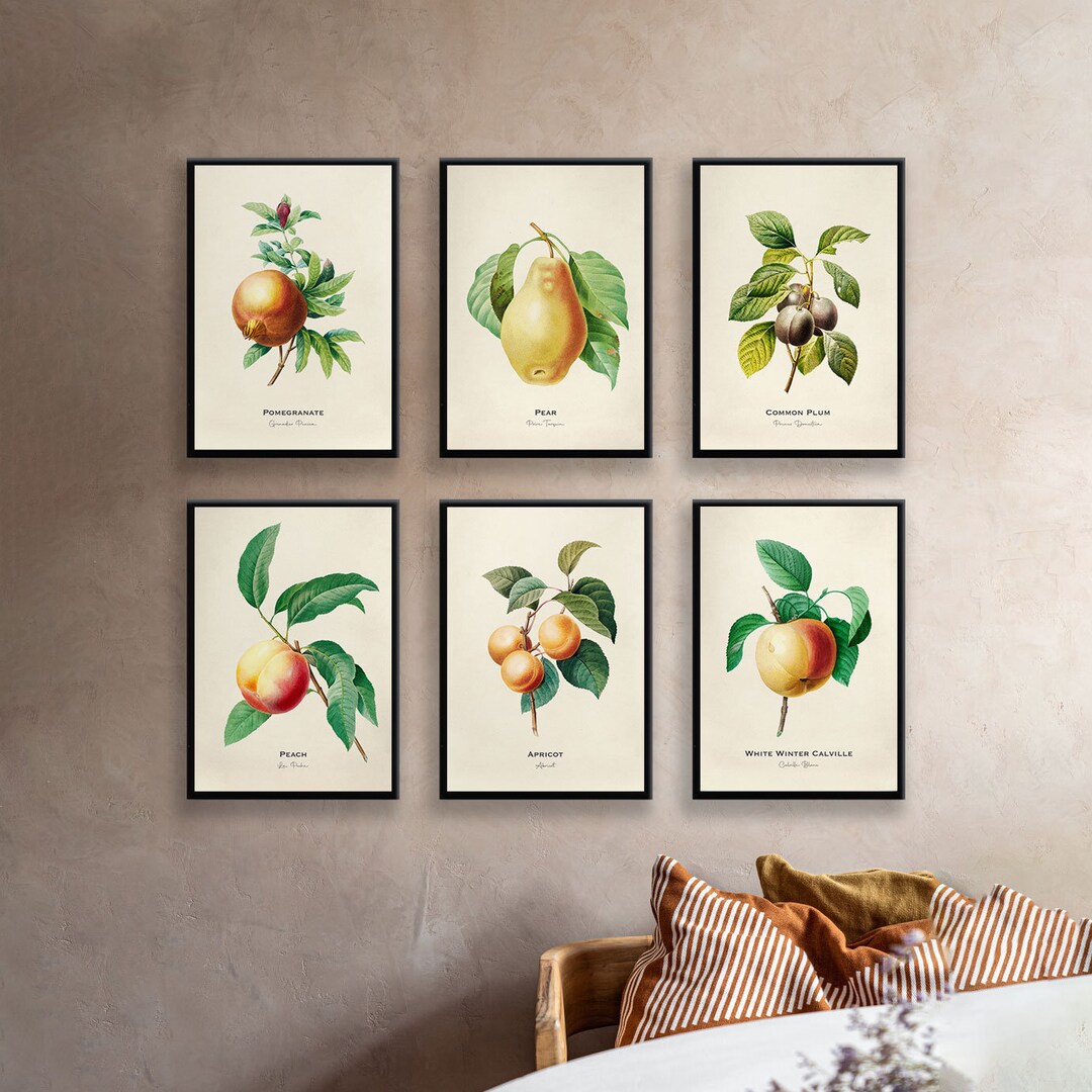 Vintage Fruit Prints Set of 6 Fruit Wall Decor Instant Digital Download ...