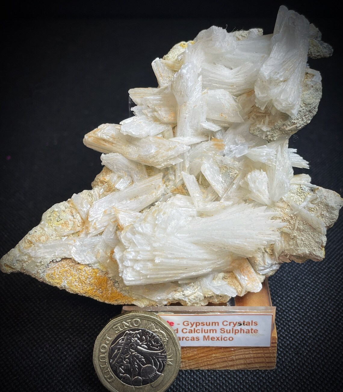 Selenite, Gypsum Crystals Hydrated Calcium Sulphate on Matrix From ...