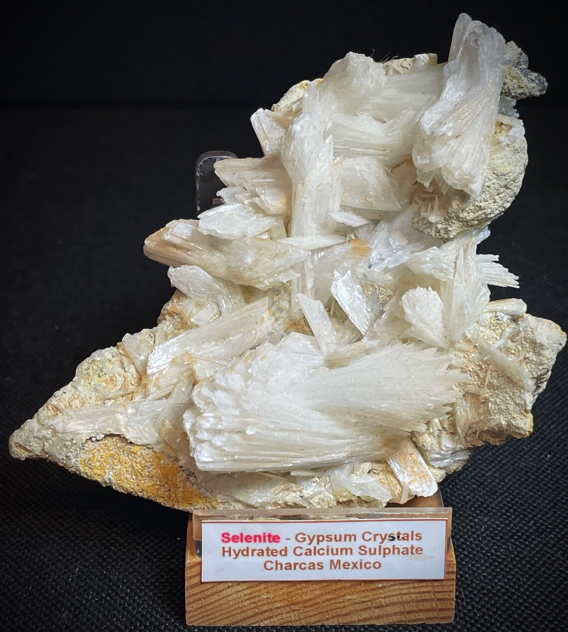 Selenite, Gypsum Crystals Hydrated Calcium Sulphate on Matrix From ...