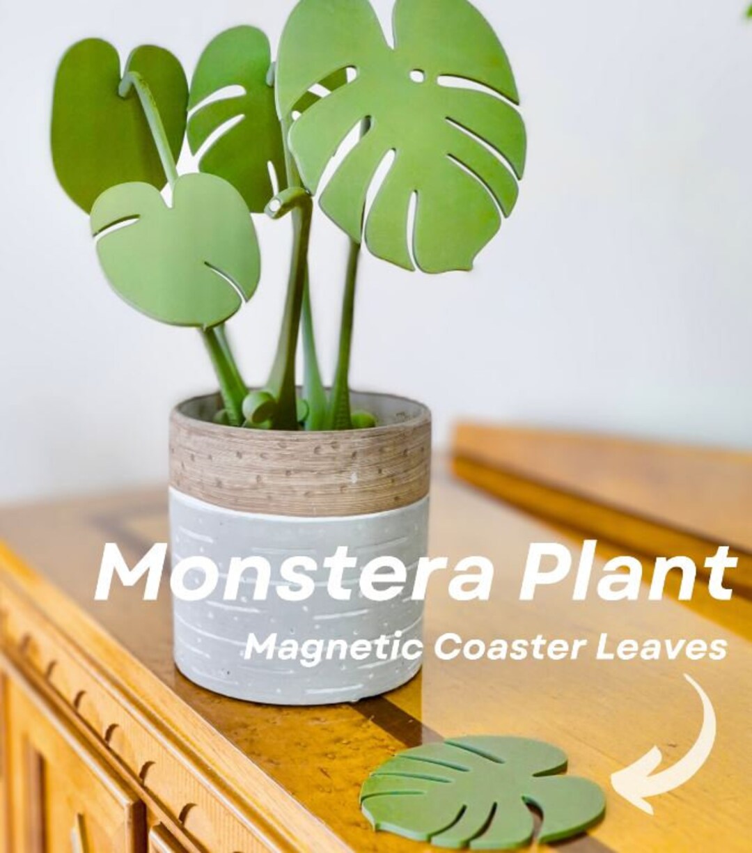 Monstera Plant Leaf Magnetic Coaster - Etsy UK