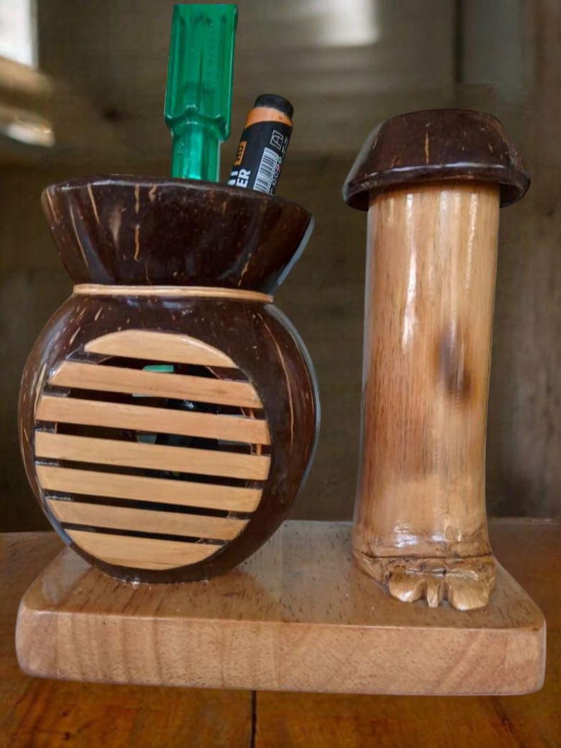 Eco-friendly Coconut Shell & Bamboo Dual Pen Holder | Handcrafted Desk ...