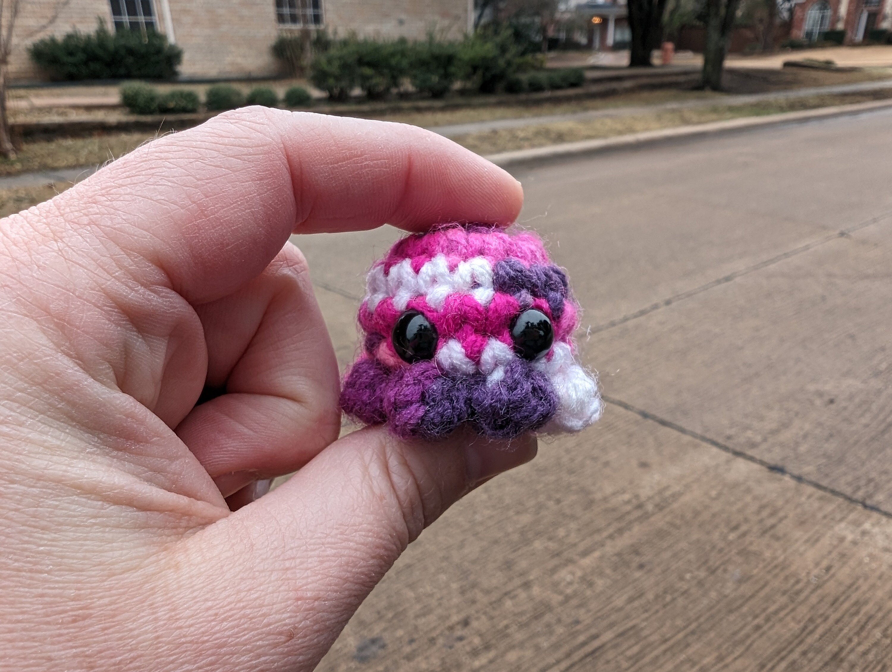 Mini Octopus Valentines Crochet Plushies Set of 2 - Etsy