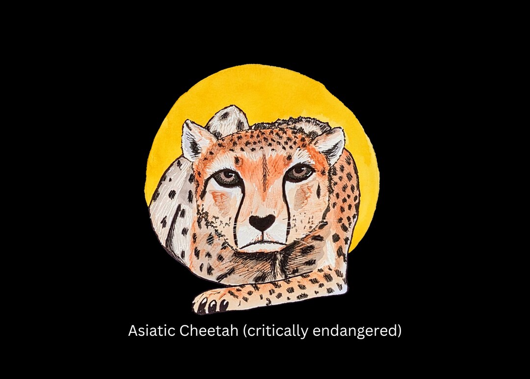 Asiatic Cheetah Endangered Extinct Watercolor Animal Print - Etsy