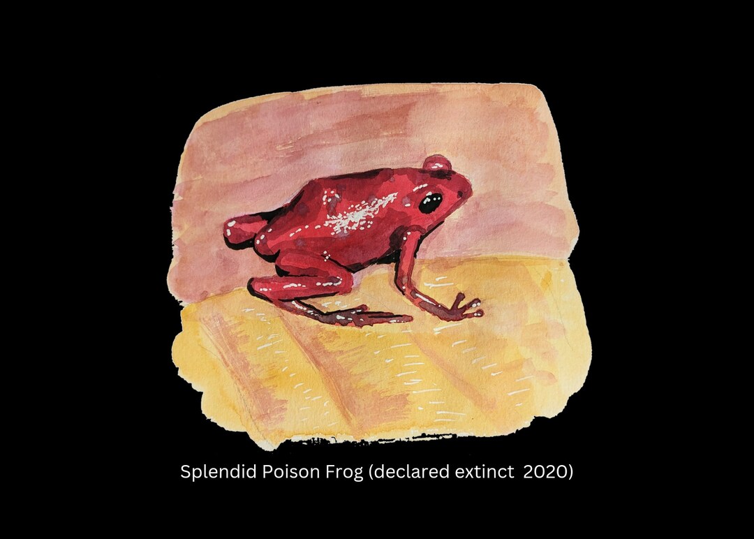 Splendid Poison Frog Endangered Extinct Watercolor Animal Print - Etsy