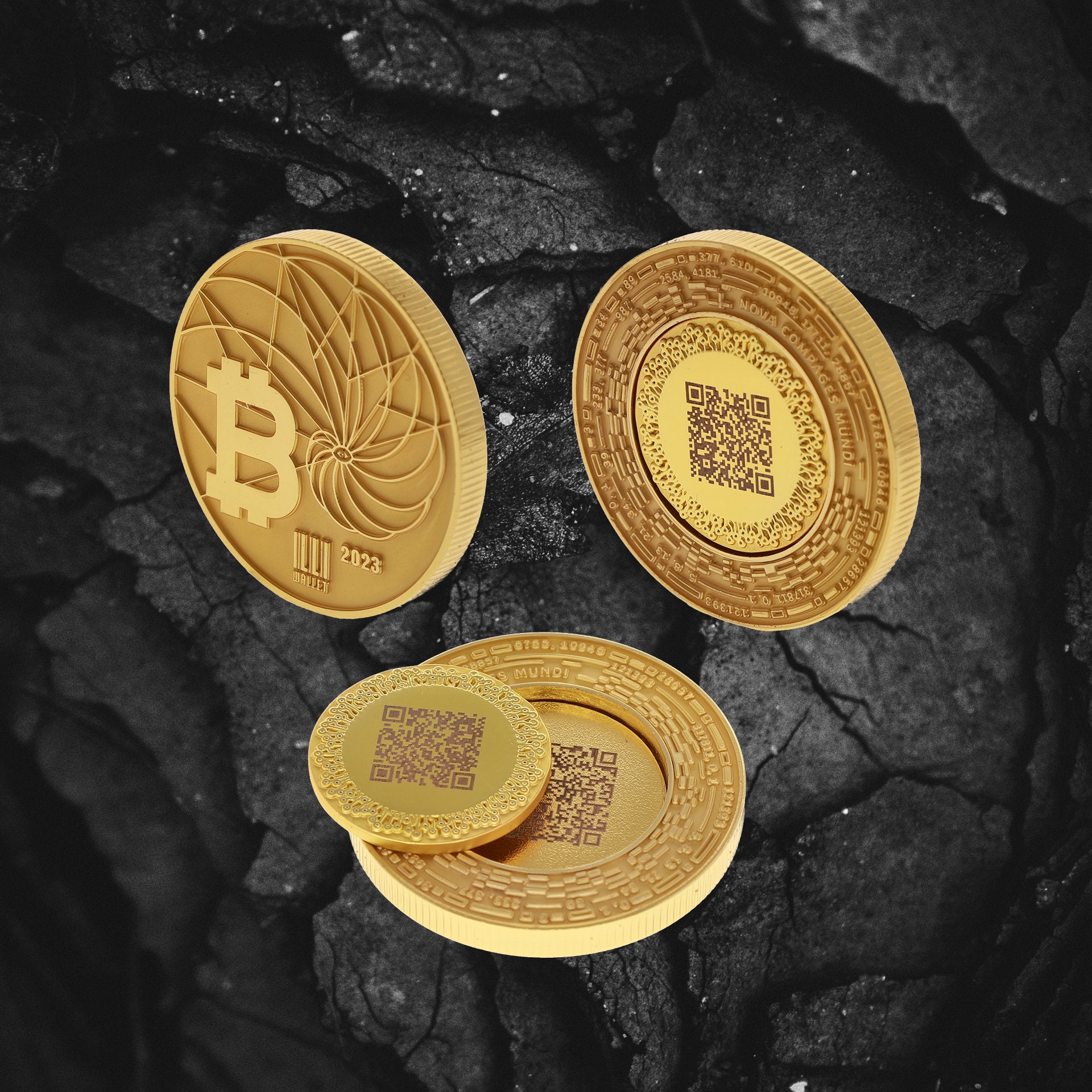 Premium Bitcoin Wallet With Cold Storage - Perfect Gift for Investors ...