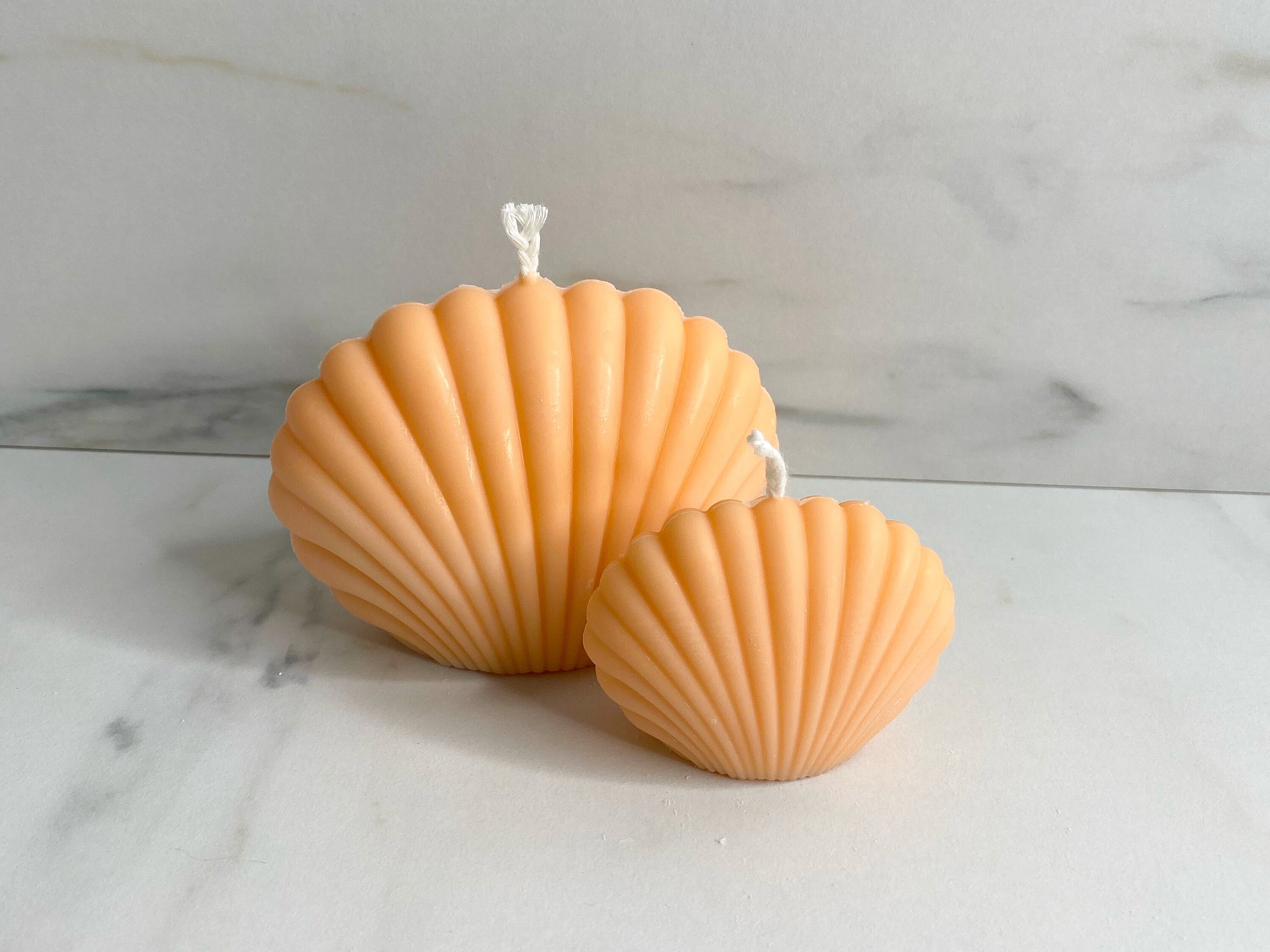 Seashell Candle S&L Shell Candle Decorative Candle Home - Etsy France