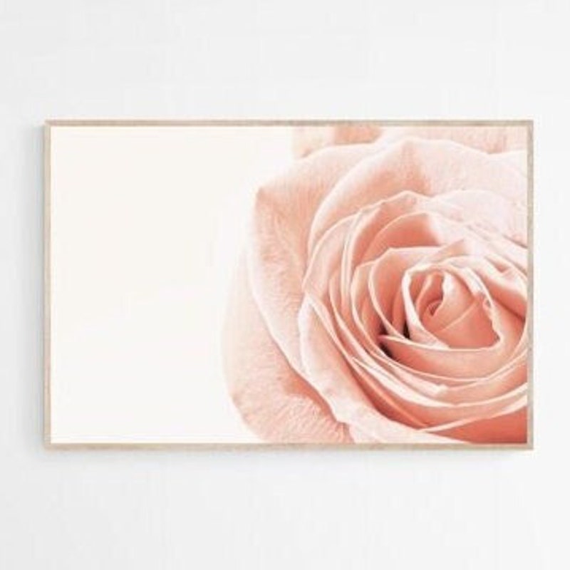 Pink Rose Print - Etsy