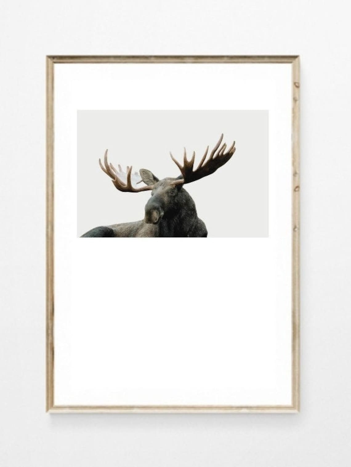 Moose Printable, Moose Photography Wall Art Printable, Minimal Nature ...