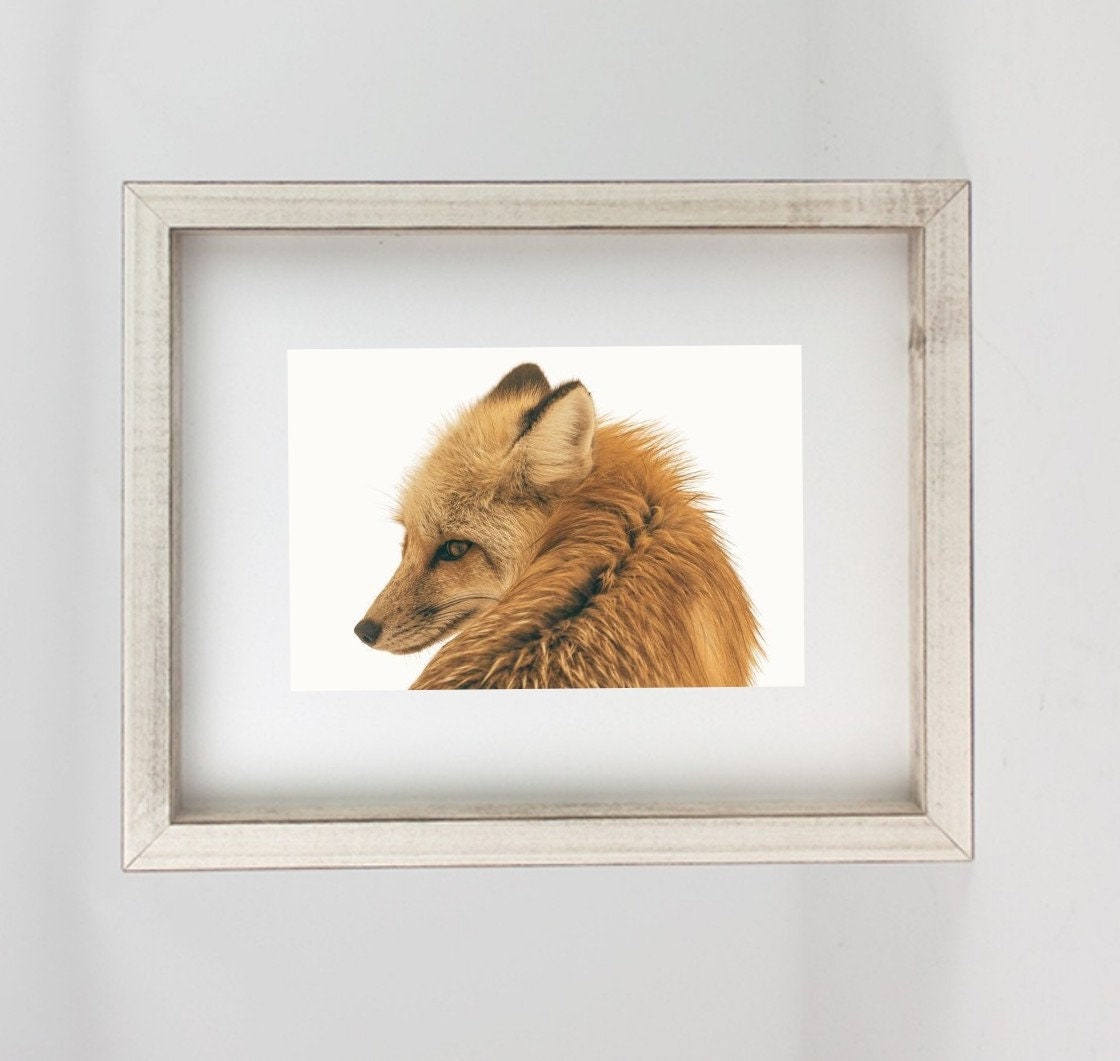 Fox Printable, Nature Photography Fox Wall Art Printable, Minimal ...