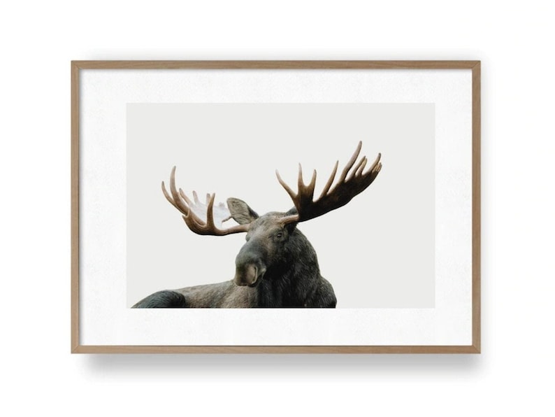 Moose Printable, Moose Photography Wall Art Printable, Minimal Nature ...