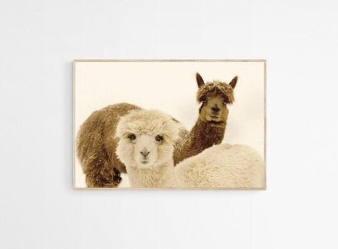Alpaca Printable, Alpaca Photography Wall Art Printable, Animal Wall ...
