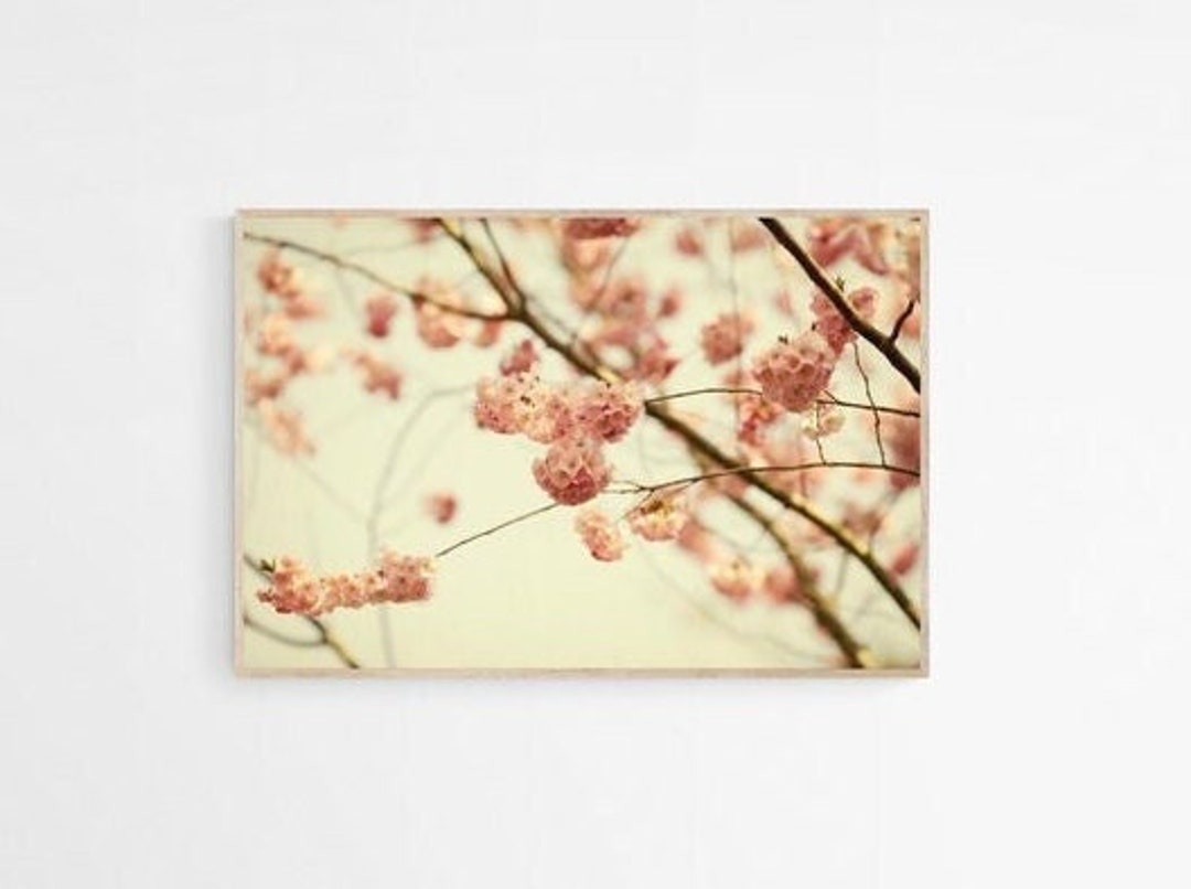 Cherry Blossom Print, Tree Photography Wall Art Printable, Cherry ...