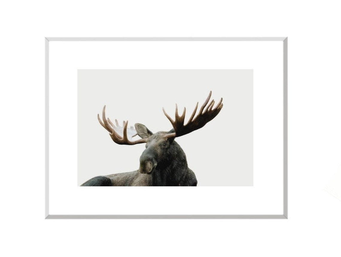 Moose Printable, Moose Photography Wall Art Printable, Minimal Nature ...
