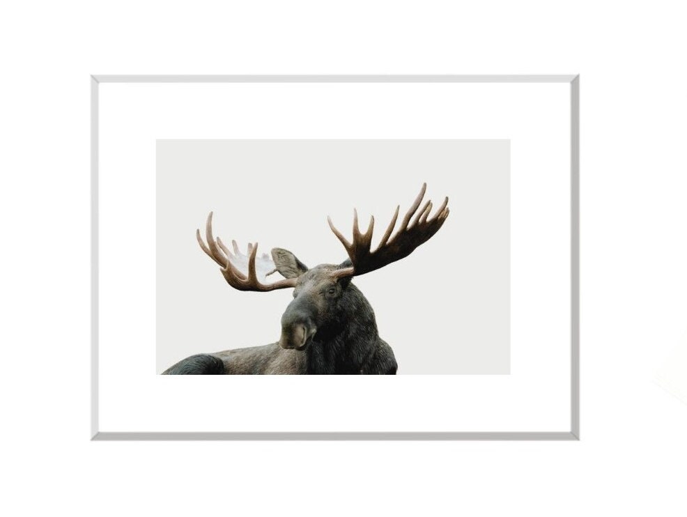 Moose Printable, Moose Photography Wall Art Printable, Minimal Nature ...