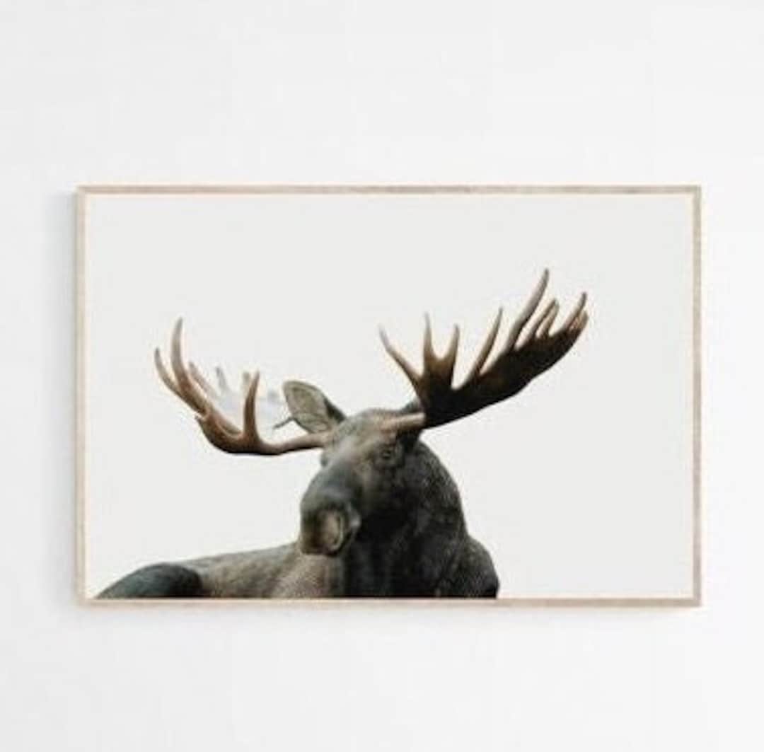Moose Printable, Moose Photography Wall Art Printable, Minimal Nature ...