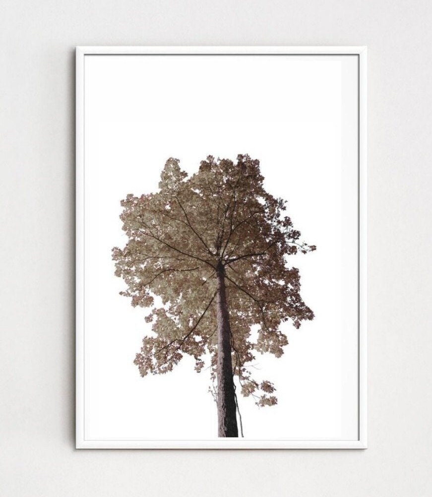 Tree Printable, Tree Photography Print, Nature Wall Art, Minimal Wall ...
