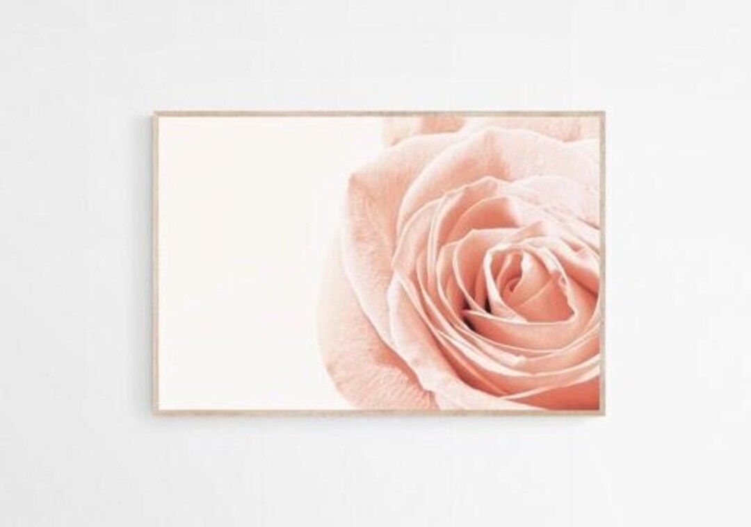 Pink Rose Print, Rose Photography Print, Printable Floral Wall Decor ...