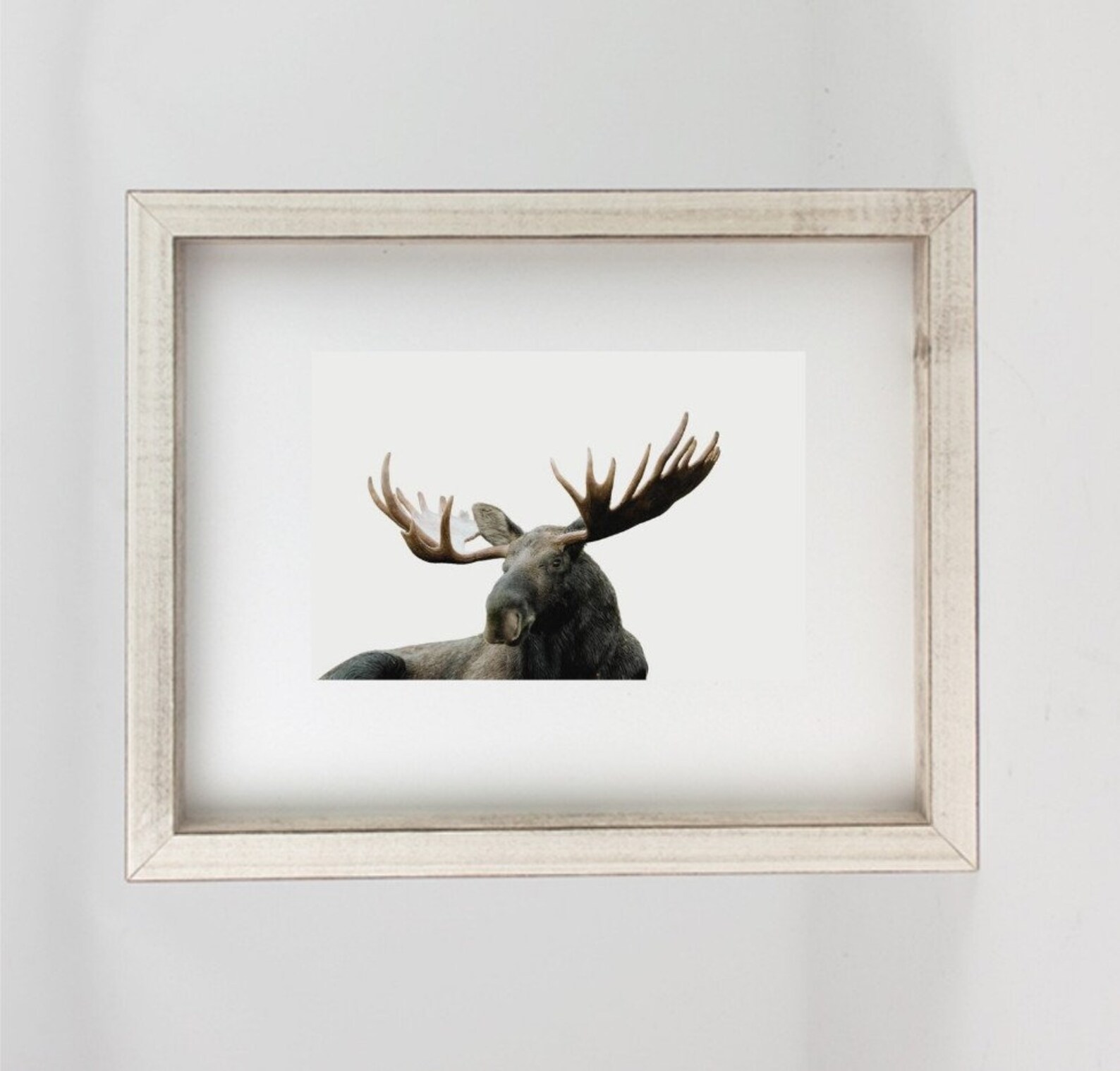 Moose Printable, Moose Photography Wall Art Printable, Minimal Nature ...
