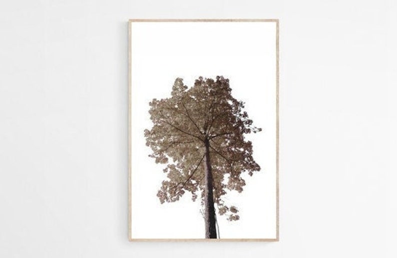 Tree Printable, Tree Photography Print, Nature Wall Art, Minimal Wall ...
