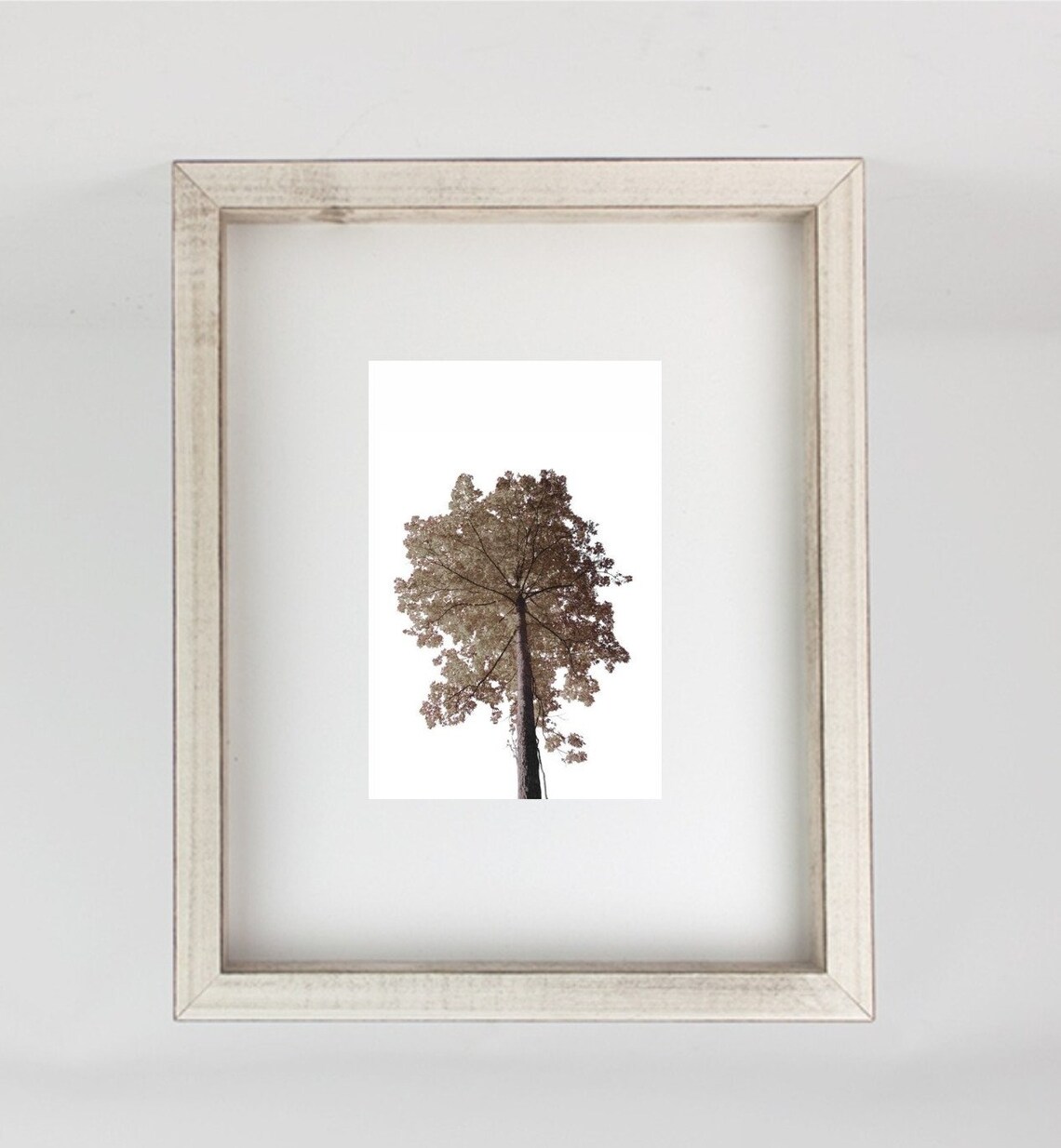 Tree Printable Tree Photography Print Nature Wall Art - Etsy