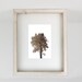 Tree Printable, Tree Photography Print, Nature Wall Art, Minimal Wall ...