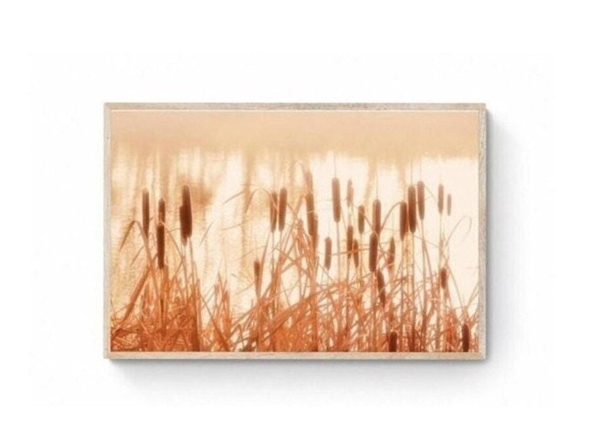 Cattails Photo Wall Art Printable, Country Home Decor Wall Art Print ...