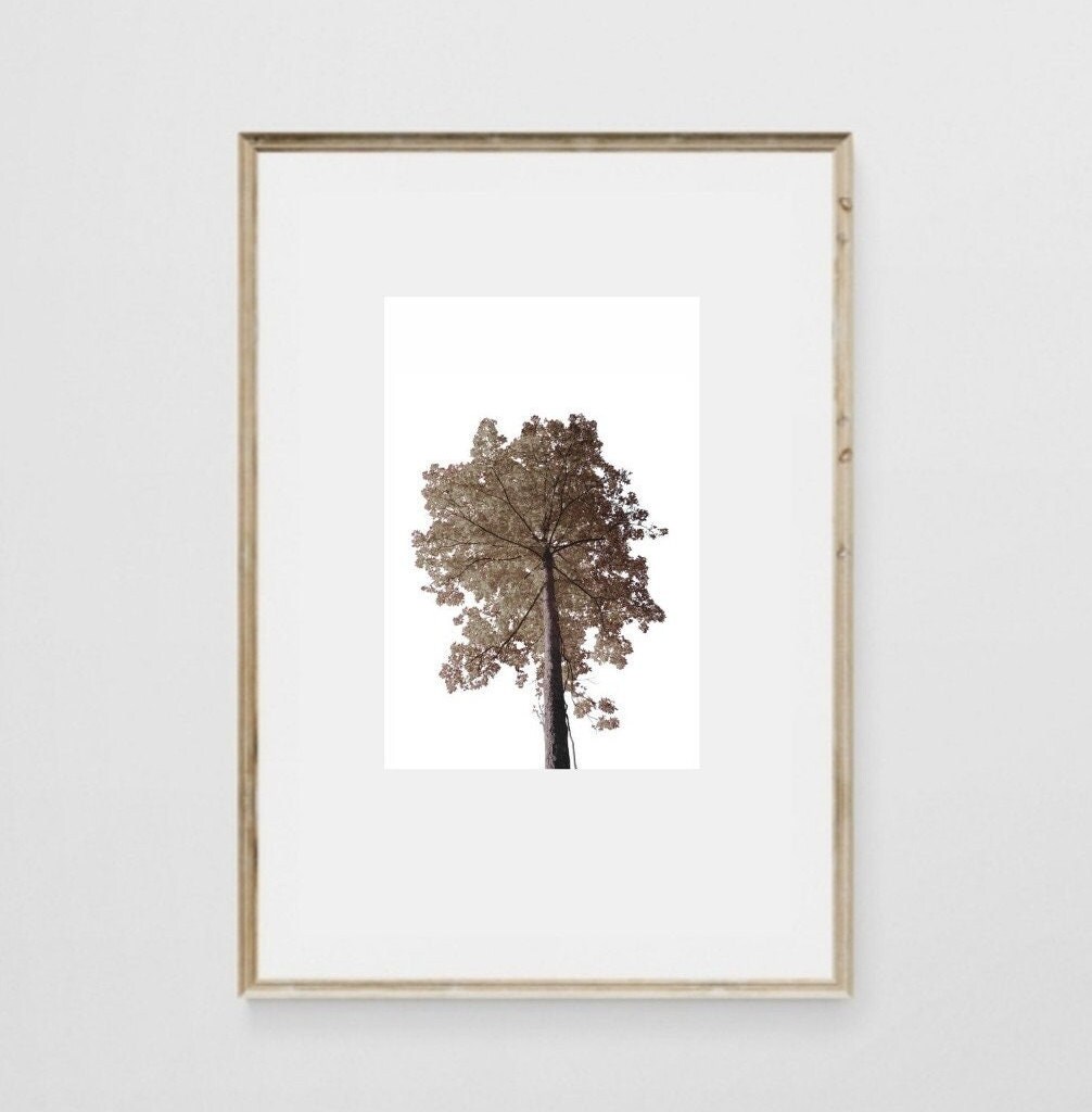 Tree Printable, Tree Photography Print, Nature Wall Art, Minimal Wall ...