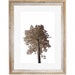 Tree Printable Tree Photography Print Nature Wall Art - Etsy