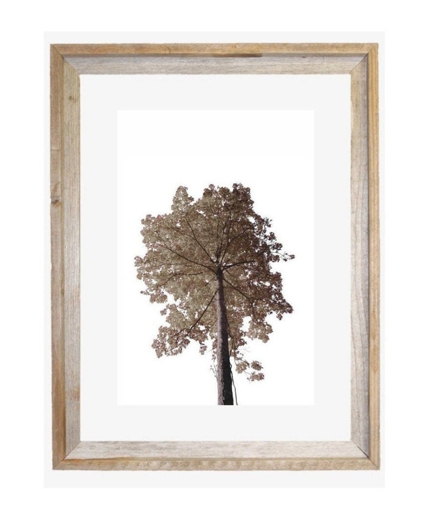 Tree Printable, Tree Photography Print, Nature Wall Art, Minimal Wall ...