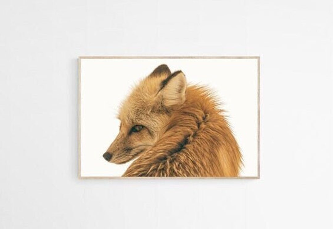 Fox Printable, Nature Photography Fox Wall Art Printable, Minimal ...