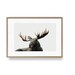 Moose Printable, Moose Photography Wall Art Printable, Minimal Nature ...