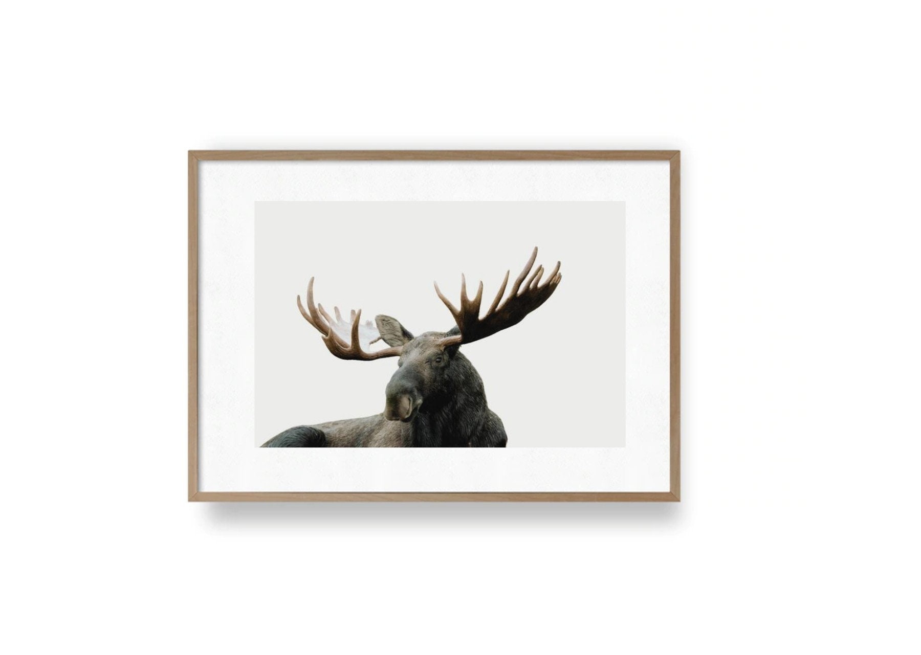 Moose Printable, Moose Photography Wall Art Printable, Minimal Nature ...